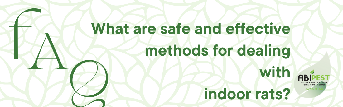 What are safe and effective methods for dealing with indoor rats? - ABI ...